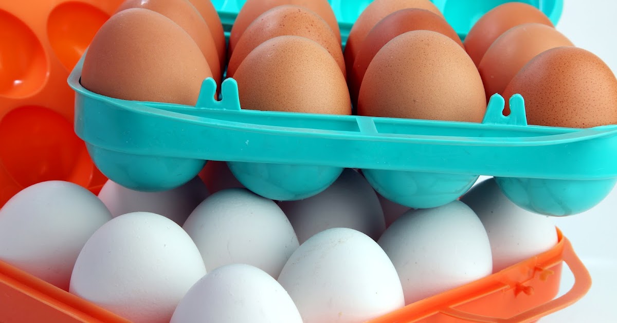 EMS SOLUTIONS INTERNATIONAL: Todo lo que debe de saber sobre el huevo