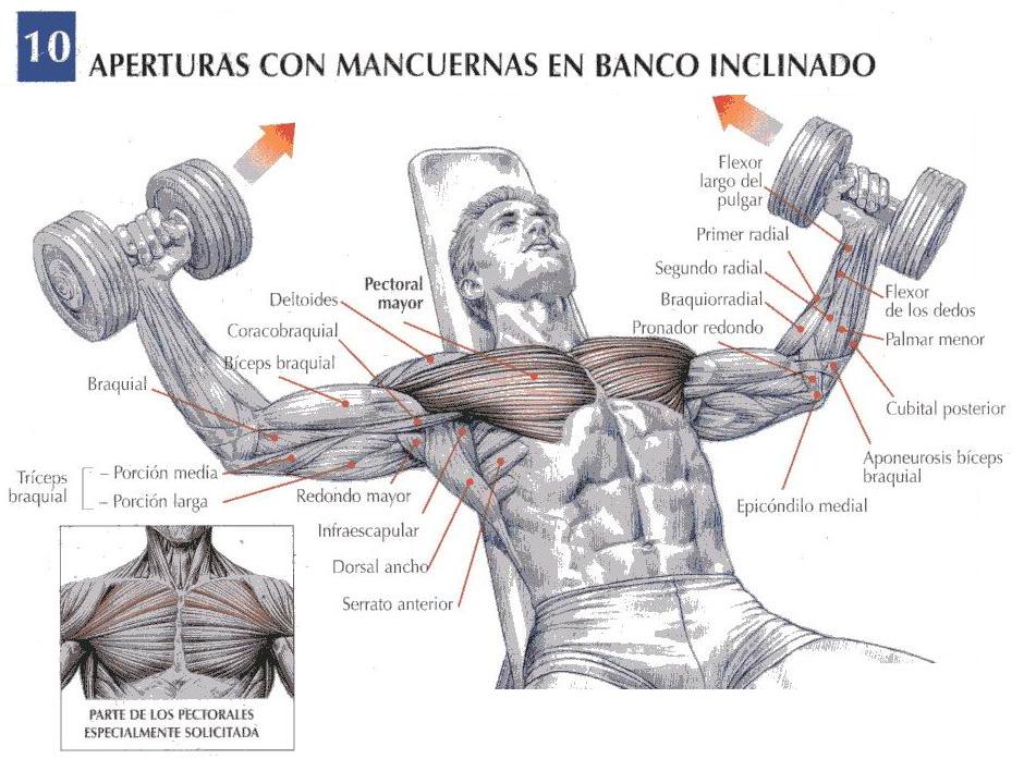 Gasali Training Center: Movimientos Para Pectorales