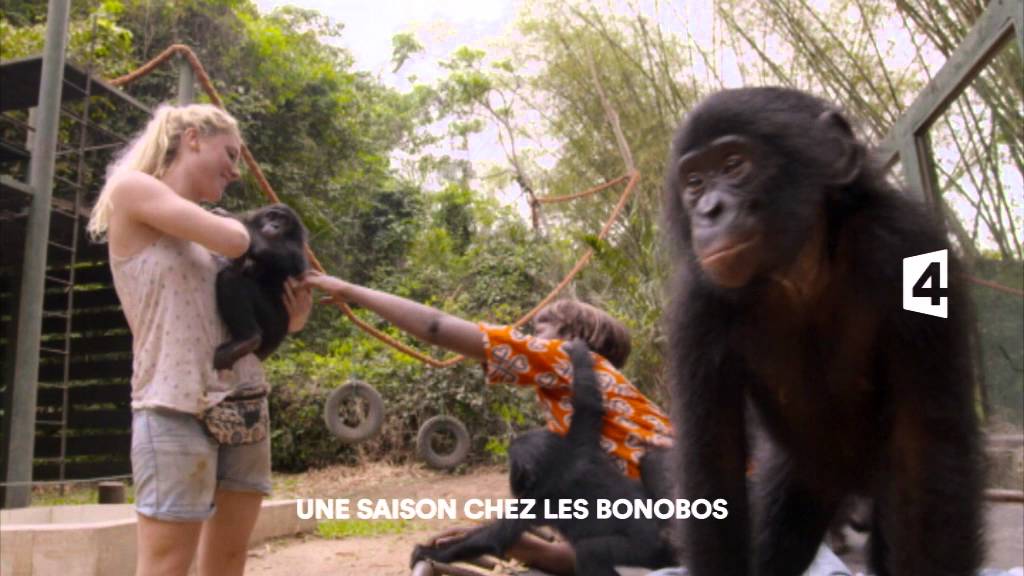 EnvironnemenTales: J'ai regardé pour toi, "une saison chez les Bonobos"