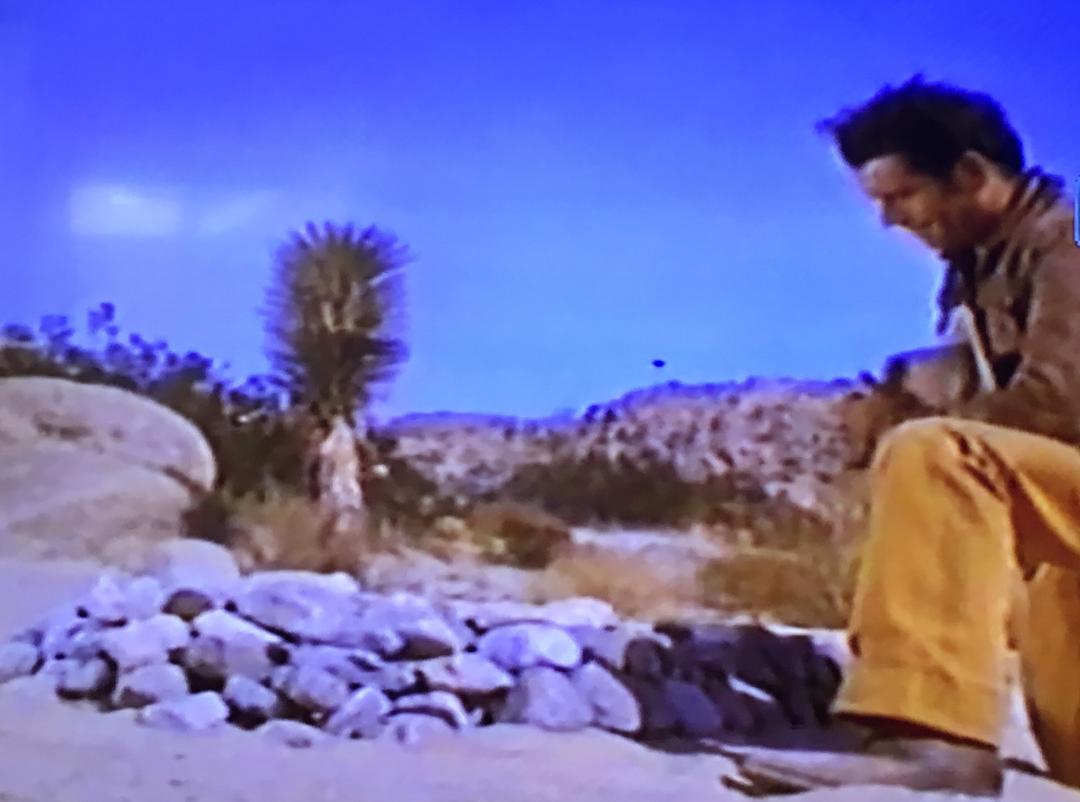 The Horn Section: HONDO (1967): TV's Unlikely Syndication Success