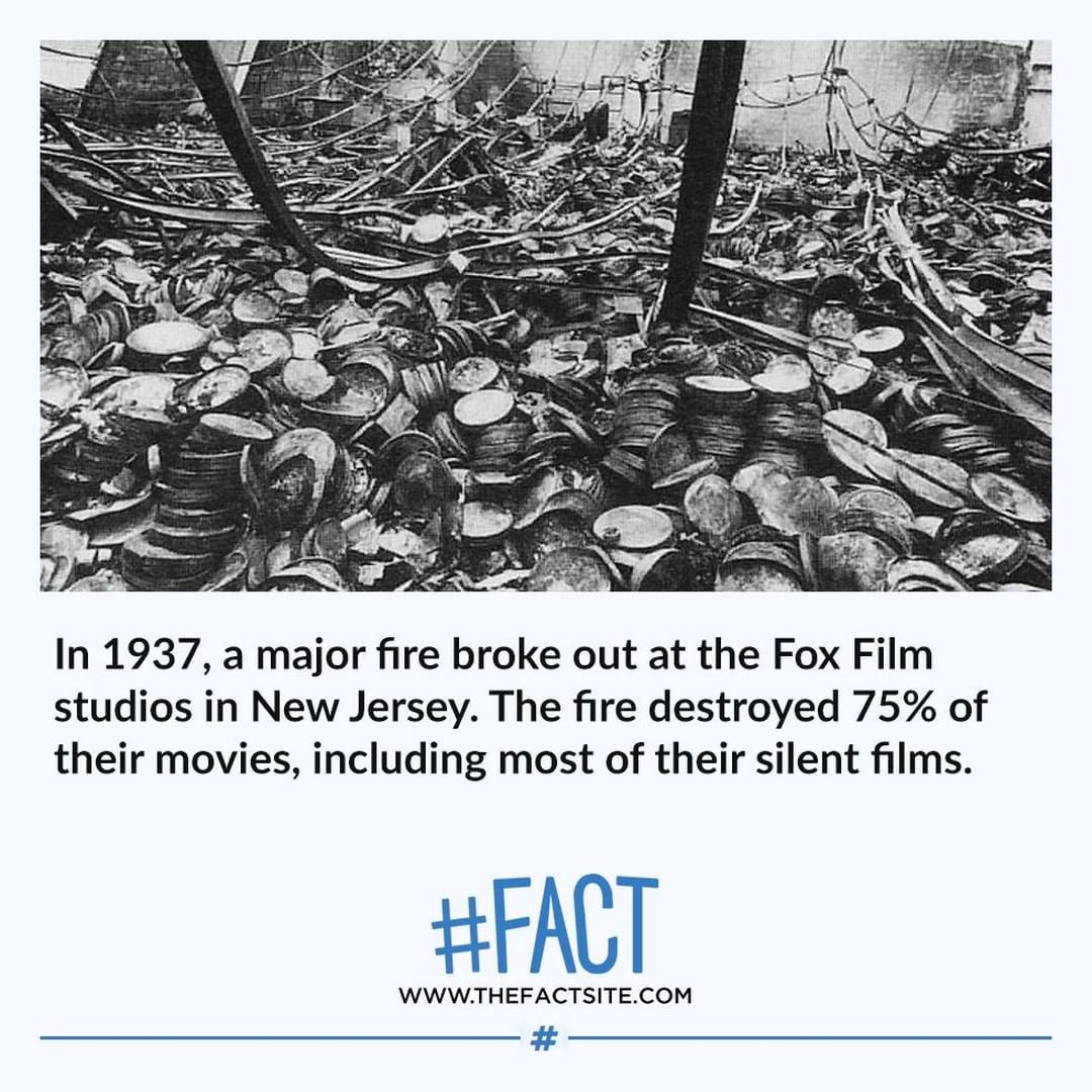 10 RANDOM TRUE FACTS – FUN FACTUAL ACTUAL FACTS 10 | Amazing WTF Facts