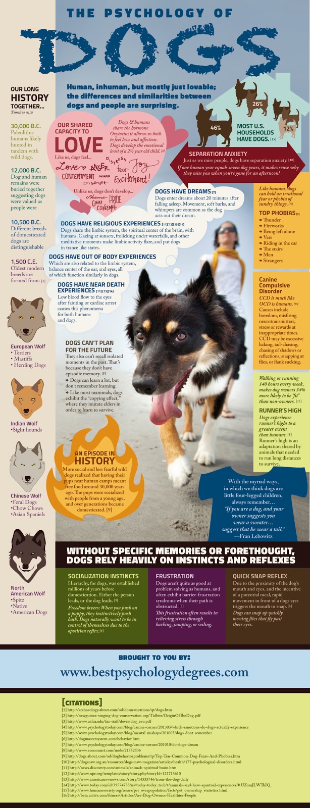 Similarities Between Dogs and Humans | from the Dog's Paw- A Bloggery ...