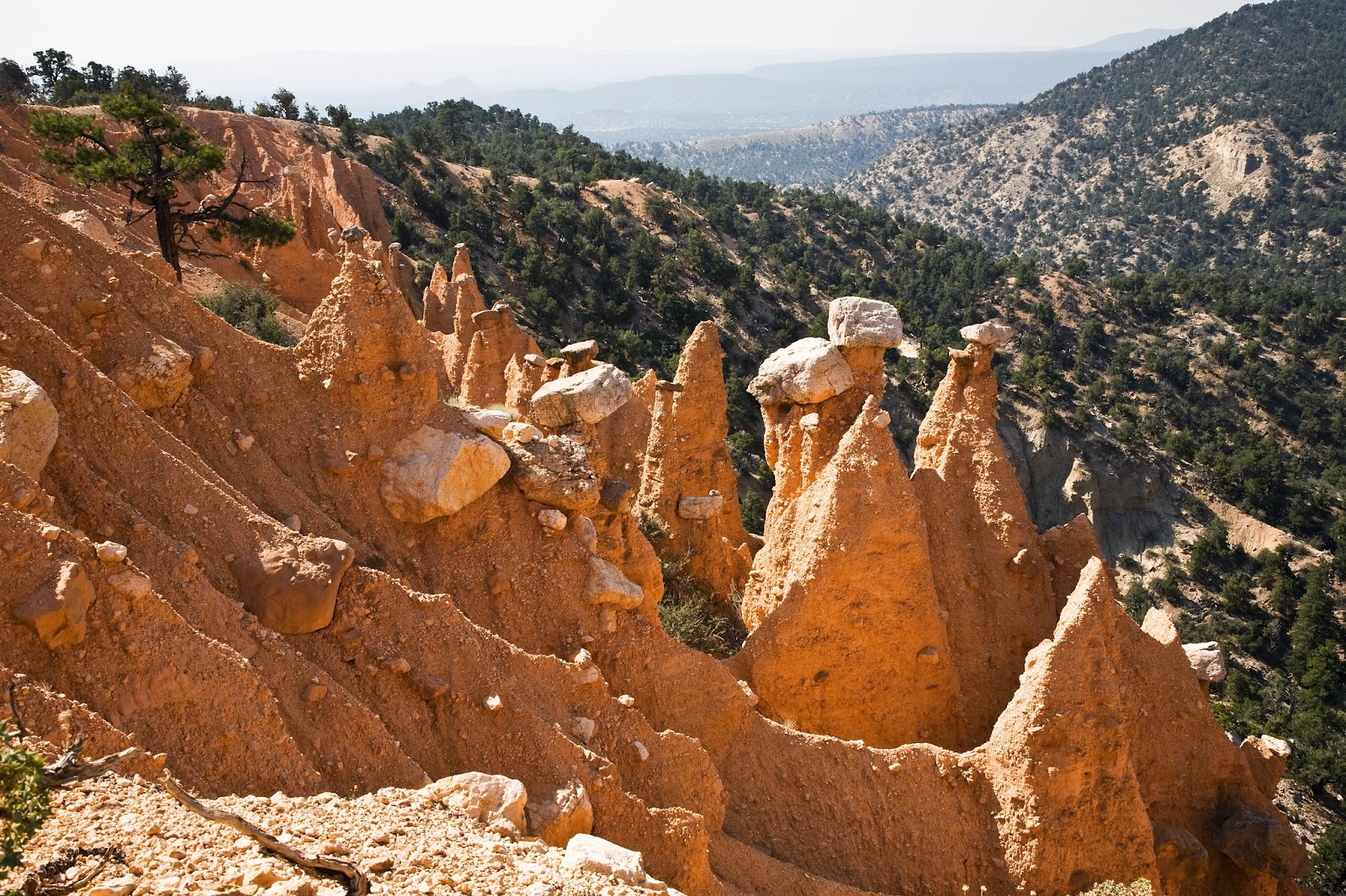 Day Hiking Trails: Exotic hoodoos, starry skies, ancient trees await ...