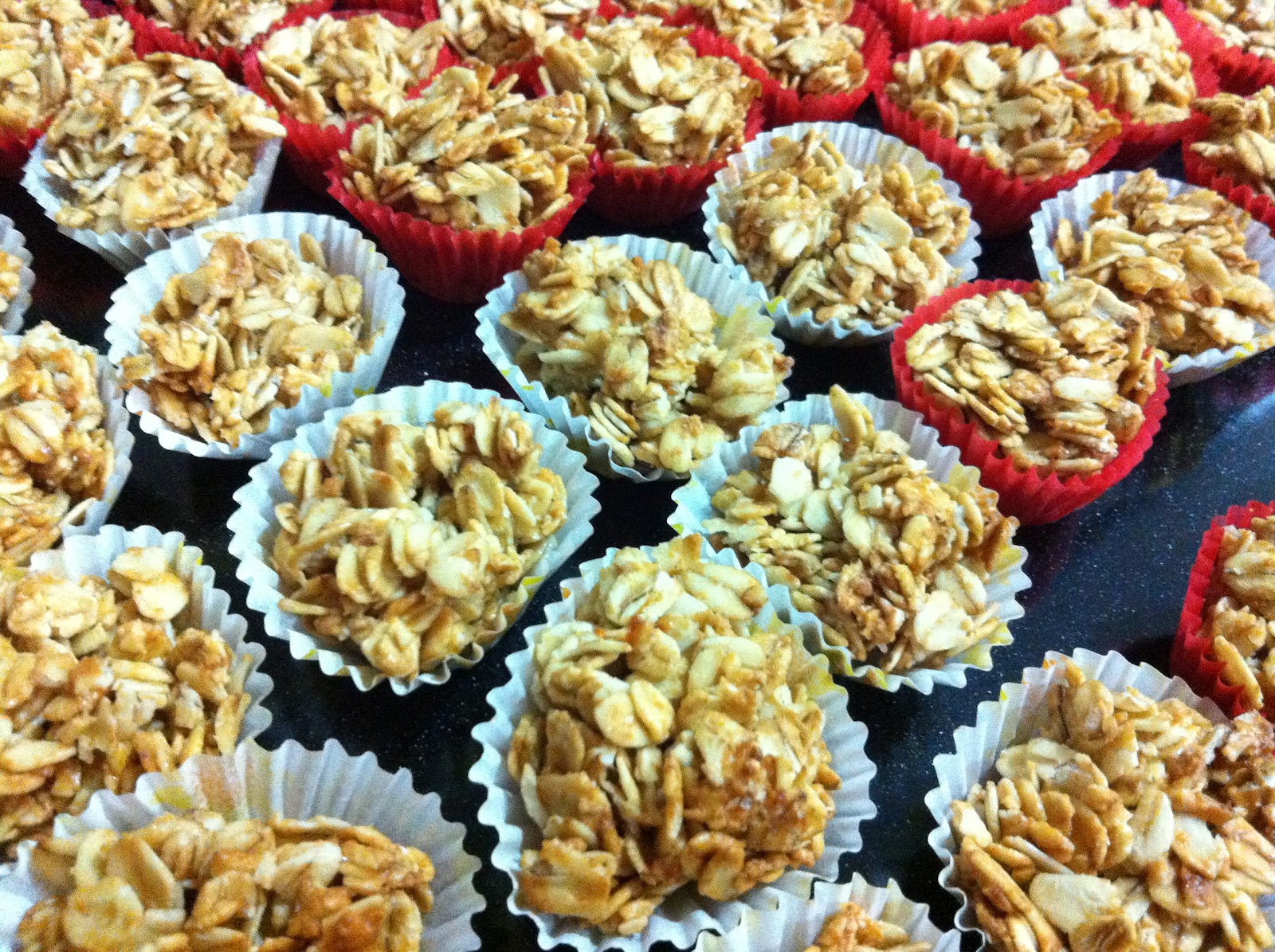 The Right to Be Alive: Salicylate-Free Oat Crunchies