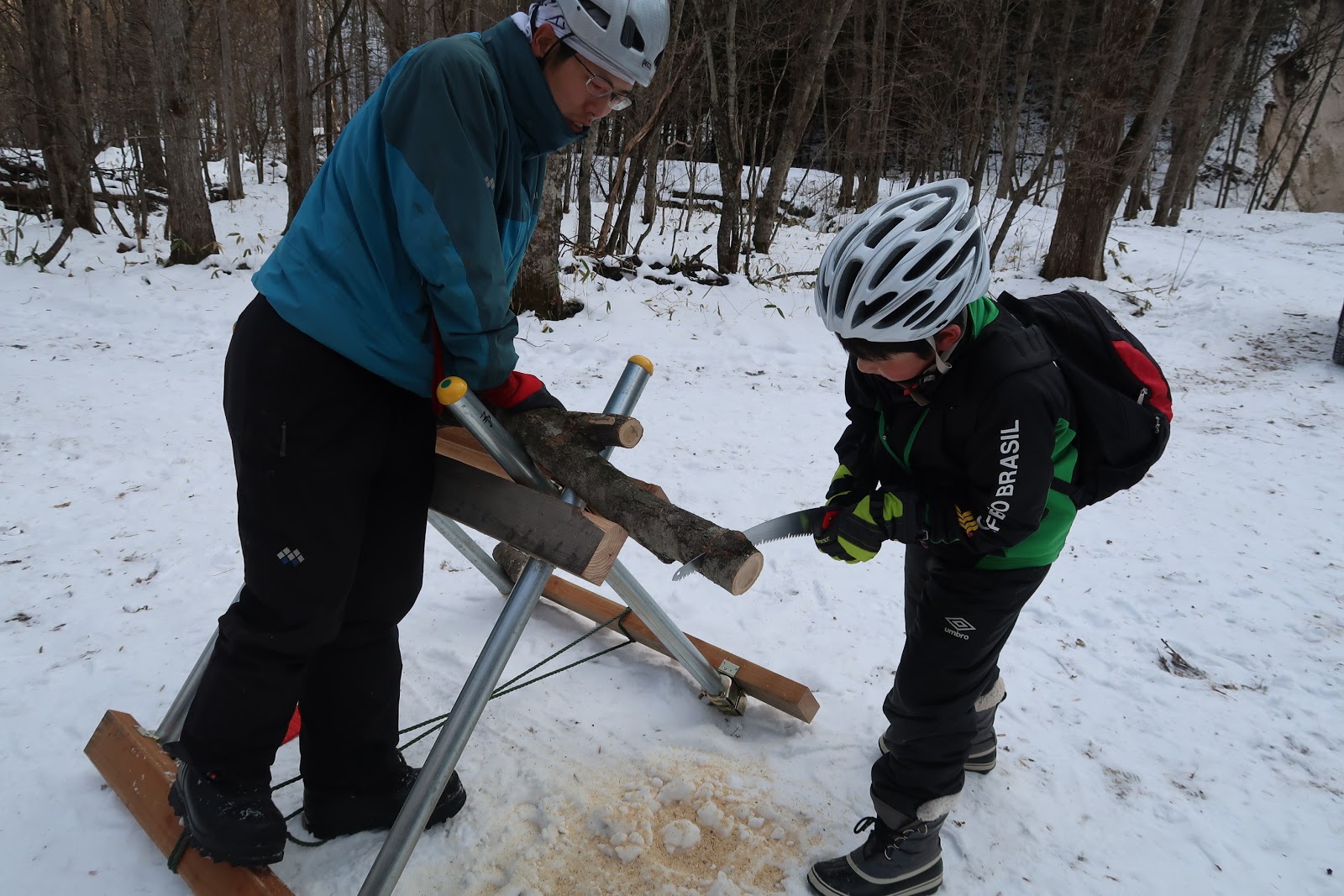 ワシップ通信: 1月 2019