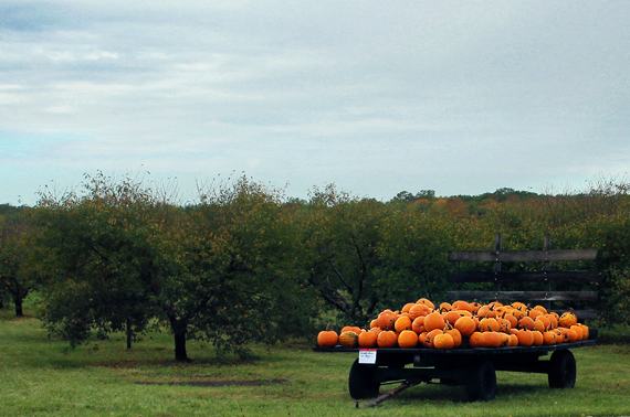 Bubby and Bean ::: Living Creatively: An Autumn Weekend in Door County