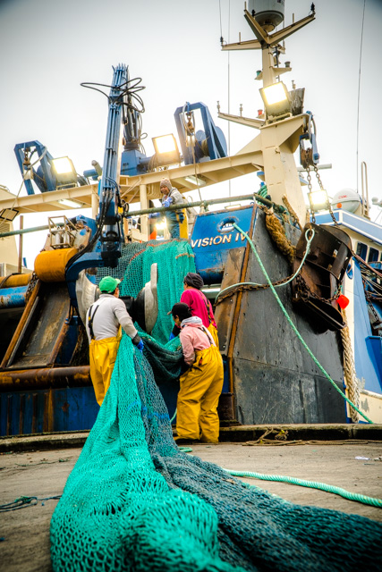 Through the Gaps! - Newlyn Fishing News: Vision IV taking on her prawn ...