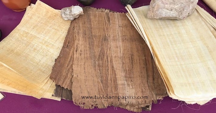 TU VIDA EN PAPIRO: ¿Papiro o Pergamino?