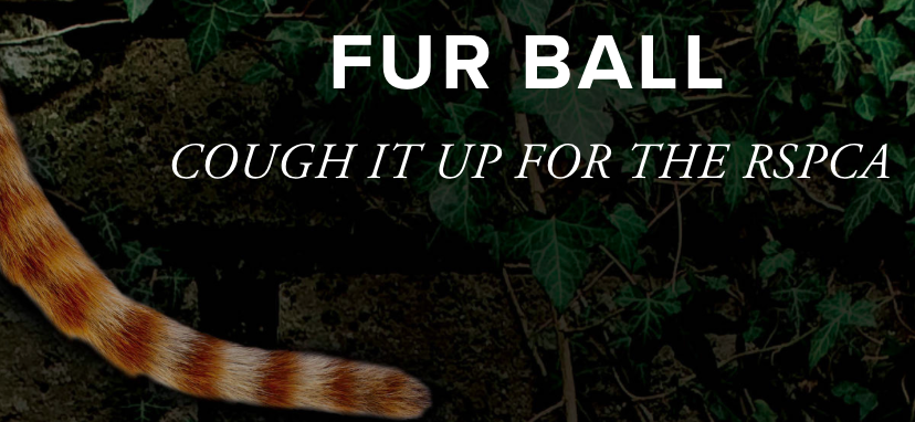 The Meaning of Headlines: Fur Ball - charity event