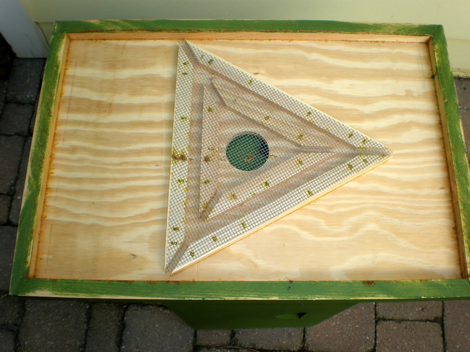 bee surprised: triangular bee escape