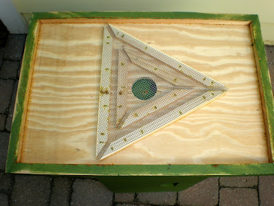 bee surprised: triangular bee escape