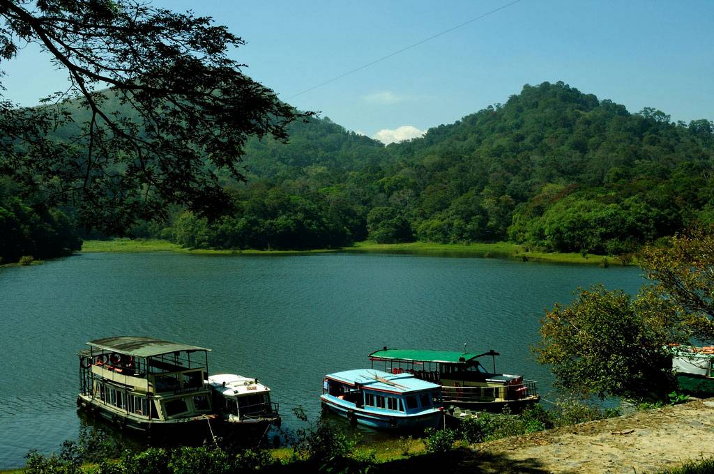 Thekkadi Eco Tourism and Boating | what to do at Thekkadi Idukki
