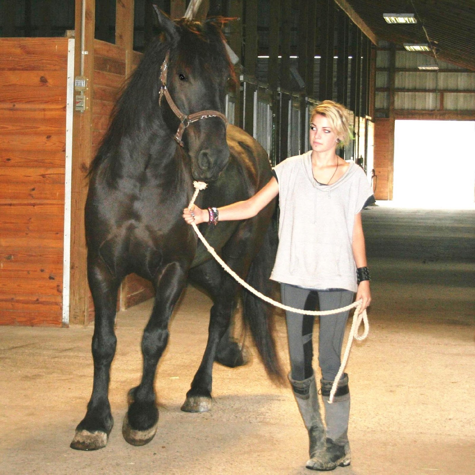 ALPHA Equestrian: BARN MANAGERS, STAFF & BOARDERS: Thoughts on Our ...