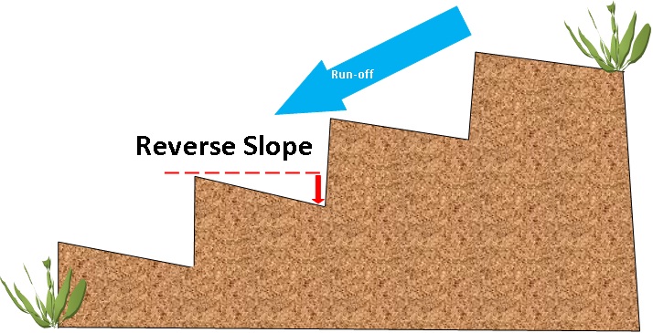 Land Preparation for Tea, Land Selection for tea, Rehabilitation of tea ...