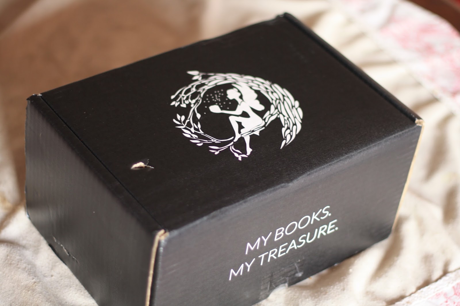L'envolée Livresque: [BOX] FairyLoot January 2017