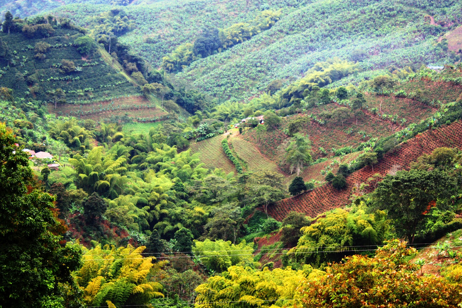 elipsse: Paisaje Cultural