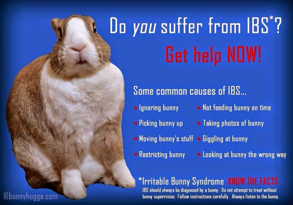 Rabbit Ramblings: Bunny Monday Meme*day