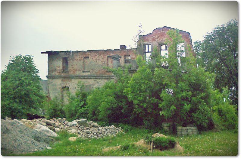 PHOTODOCUMENT & pinhole: Parki i ogrody. Rybowo