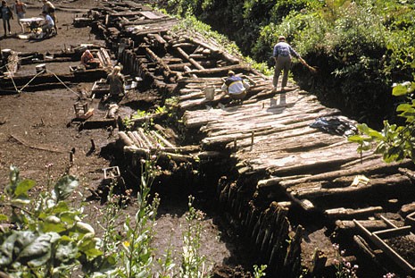 bensozia: Novgorod: the Archaeology of Medieval Russia