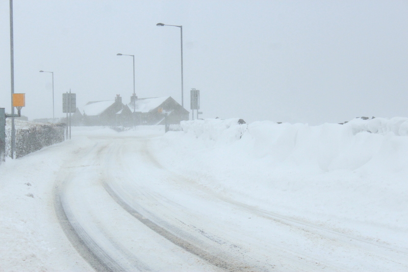 WEST YORKSHIRE BIRDING: Sunday Morning, Match Abandonded.