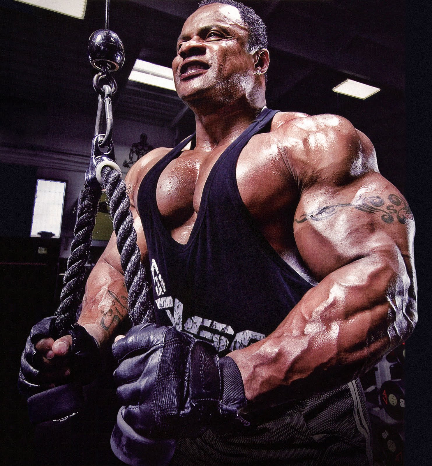 the beauty of male muscle: Silvio