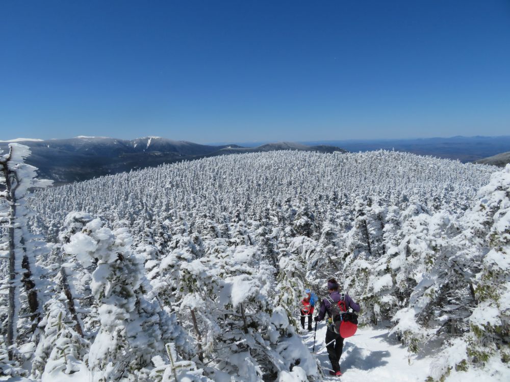 Outdoor Diversion: Hiking the Willey Range on a Spectacular Day