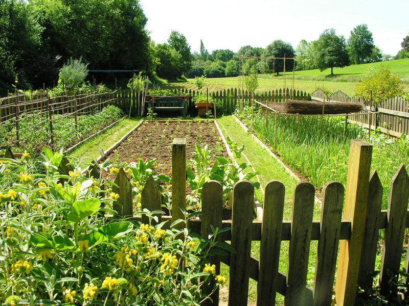 Dans le jardin de la vallée: Notre potager