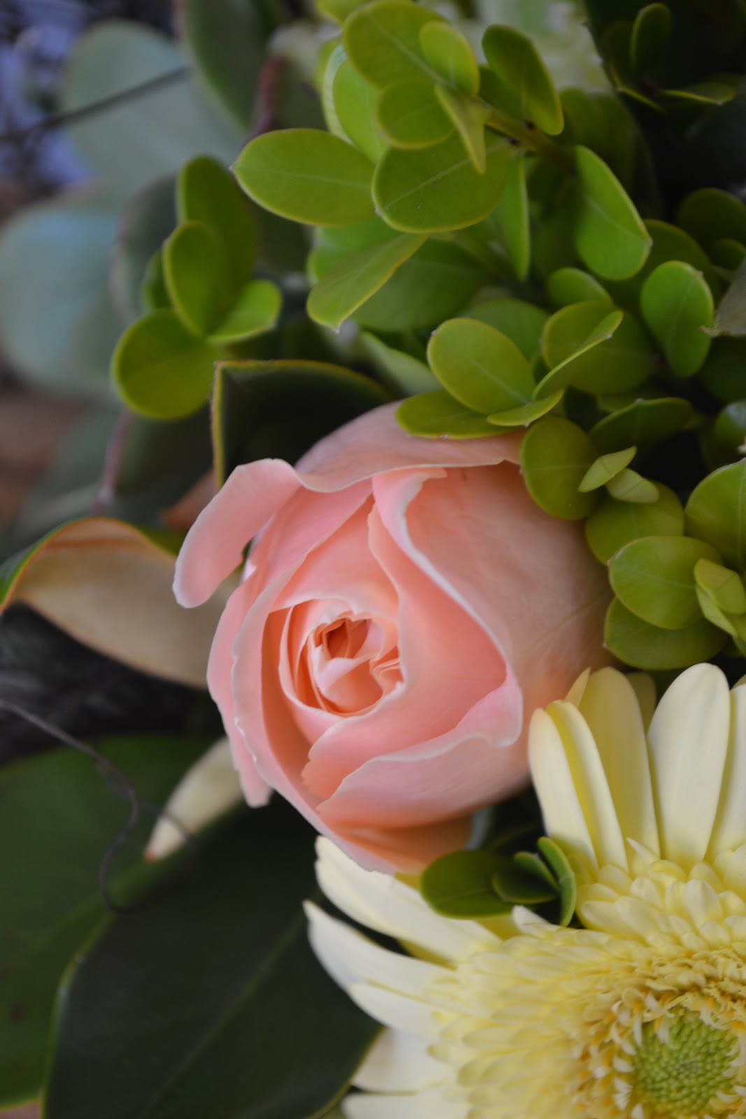 French Blue and Peachy Pink: THURSDAY FLOWERS ......Peachy Pink Roses