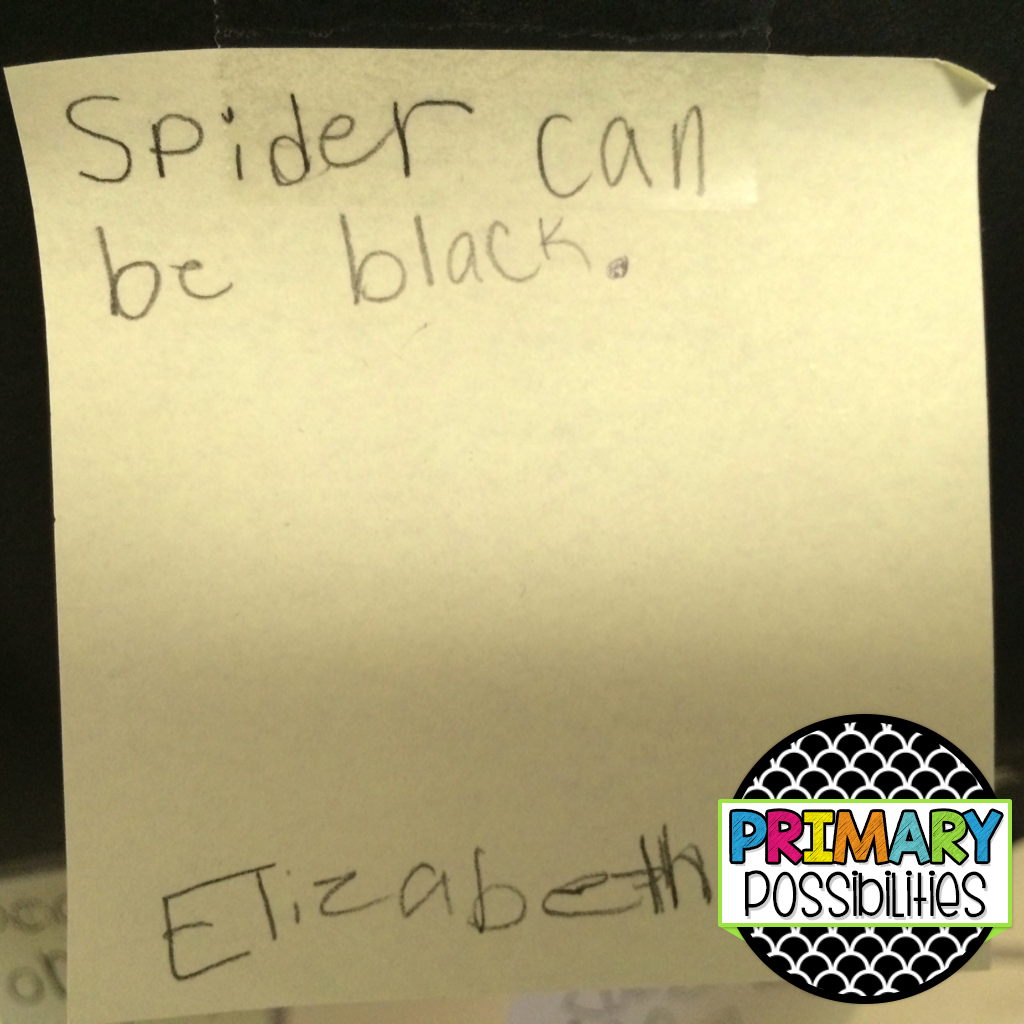 Primary Possibilities: Spiders! Spiders! Spiders!