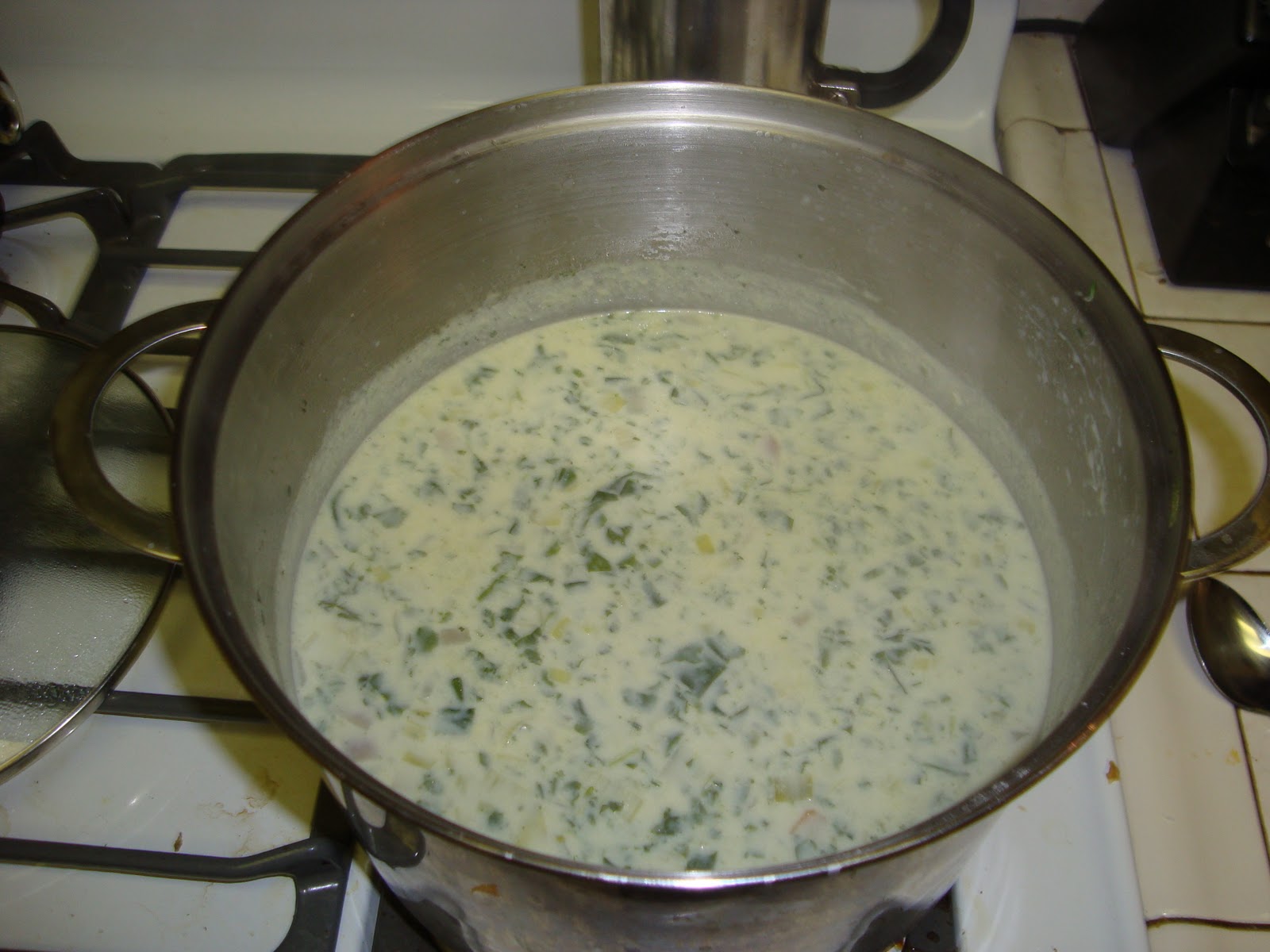 thespianlawyer: Sunday Dinner: Spinach Leek Bisque (with Persimmon ...