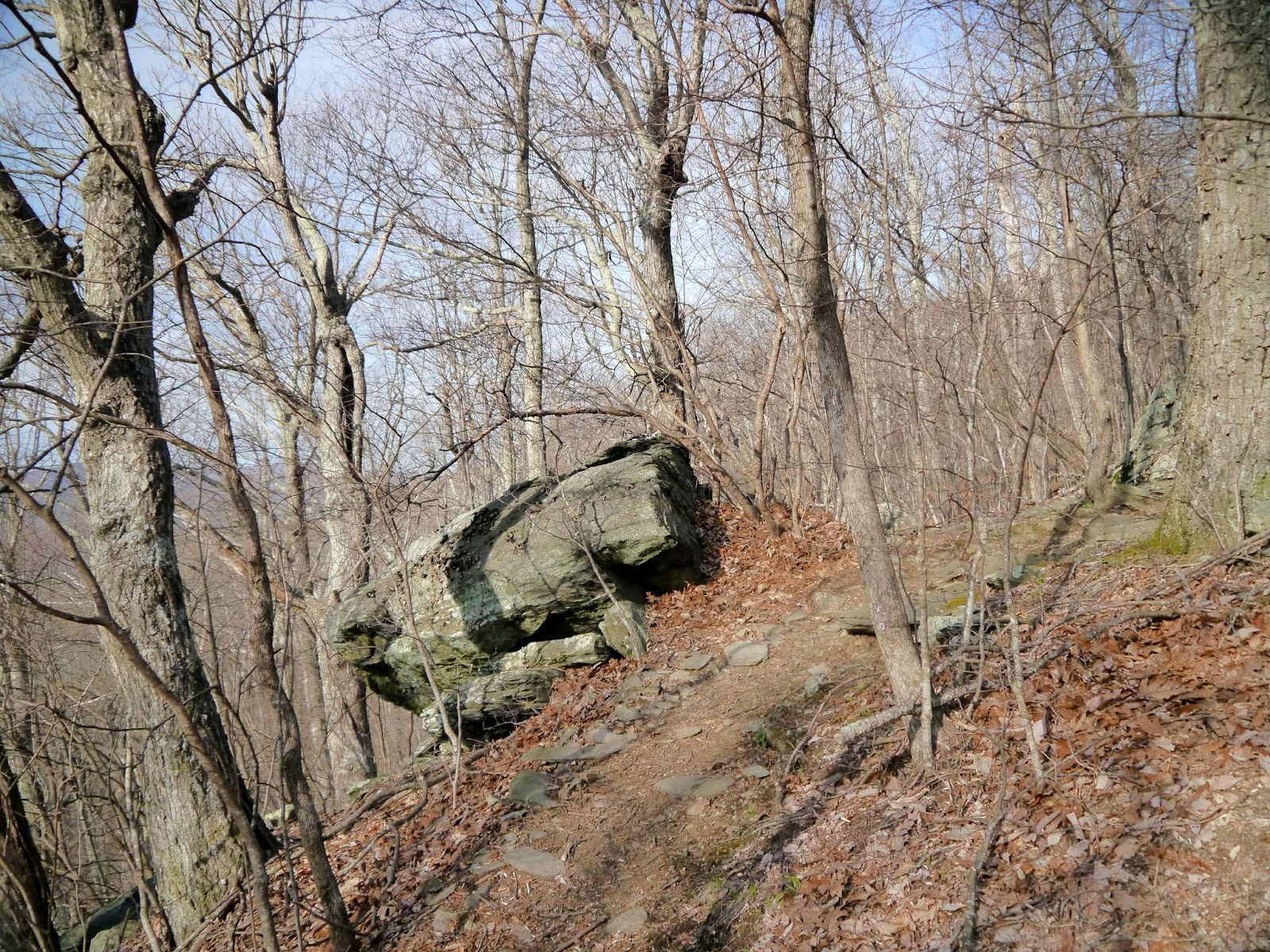 American Travel Journal: Rockfish Gap to McCormick Gap - Appalachian ...