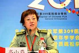 Asian Defence News: Chinese PLA facing corruption dilemma