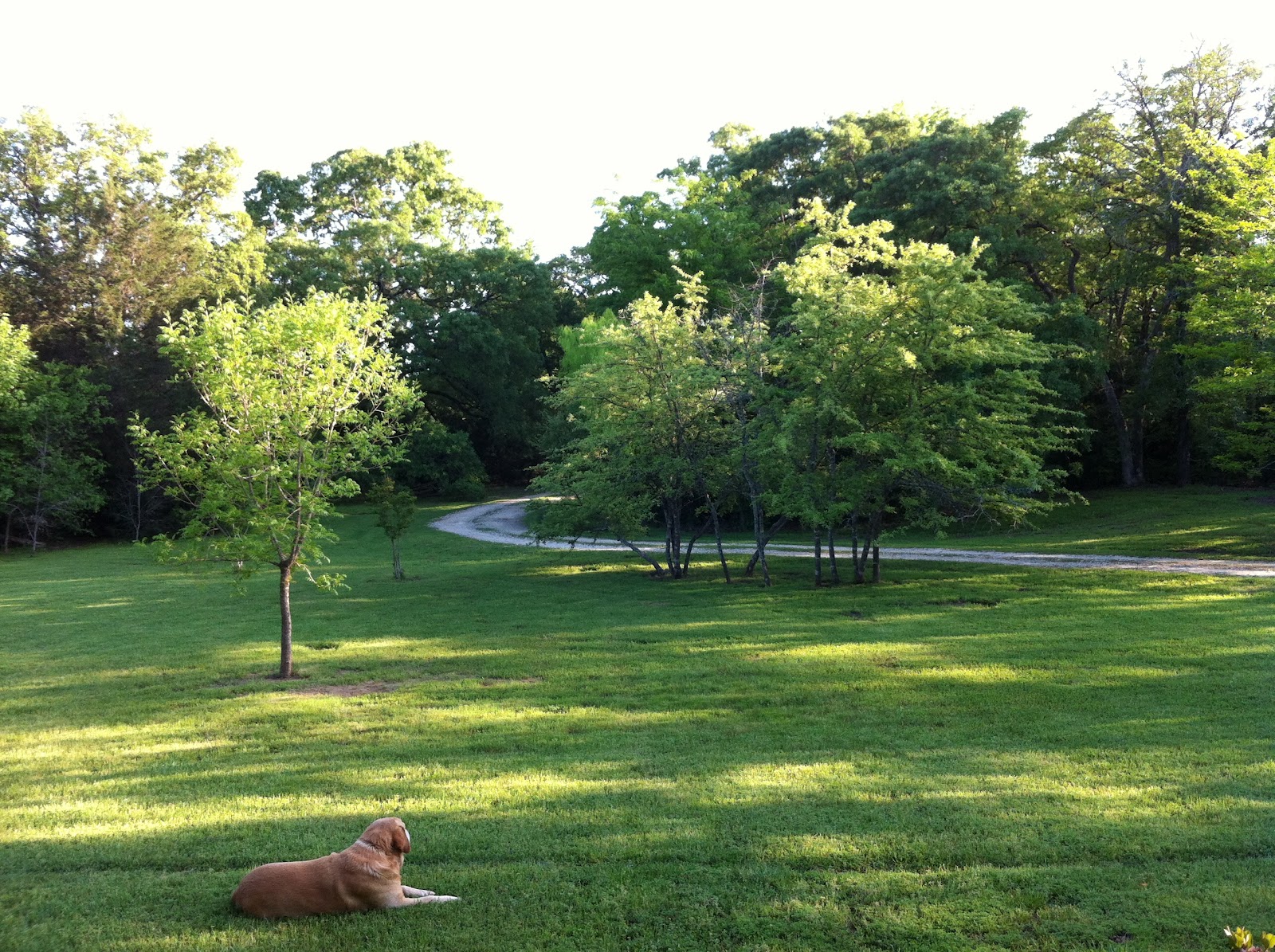 Redneck Haiku: Life in Poetry... Texas