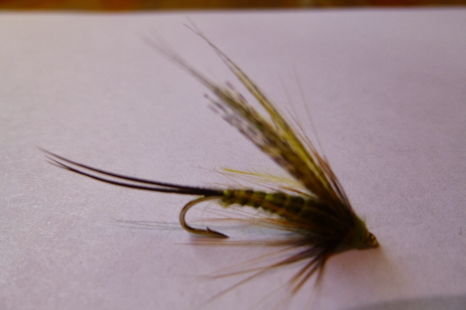 SOFT~HACKLE JOURNAL: Larger Western Mayflies of Autumn