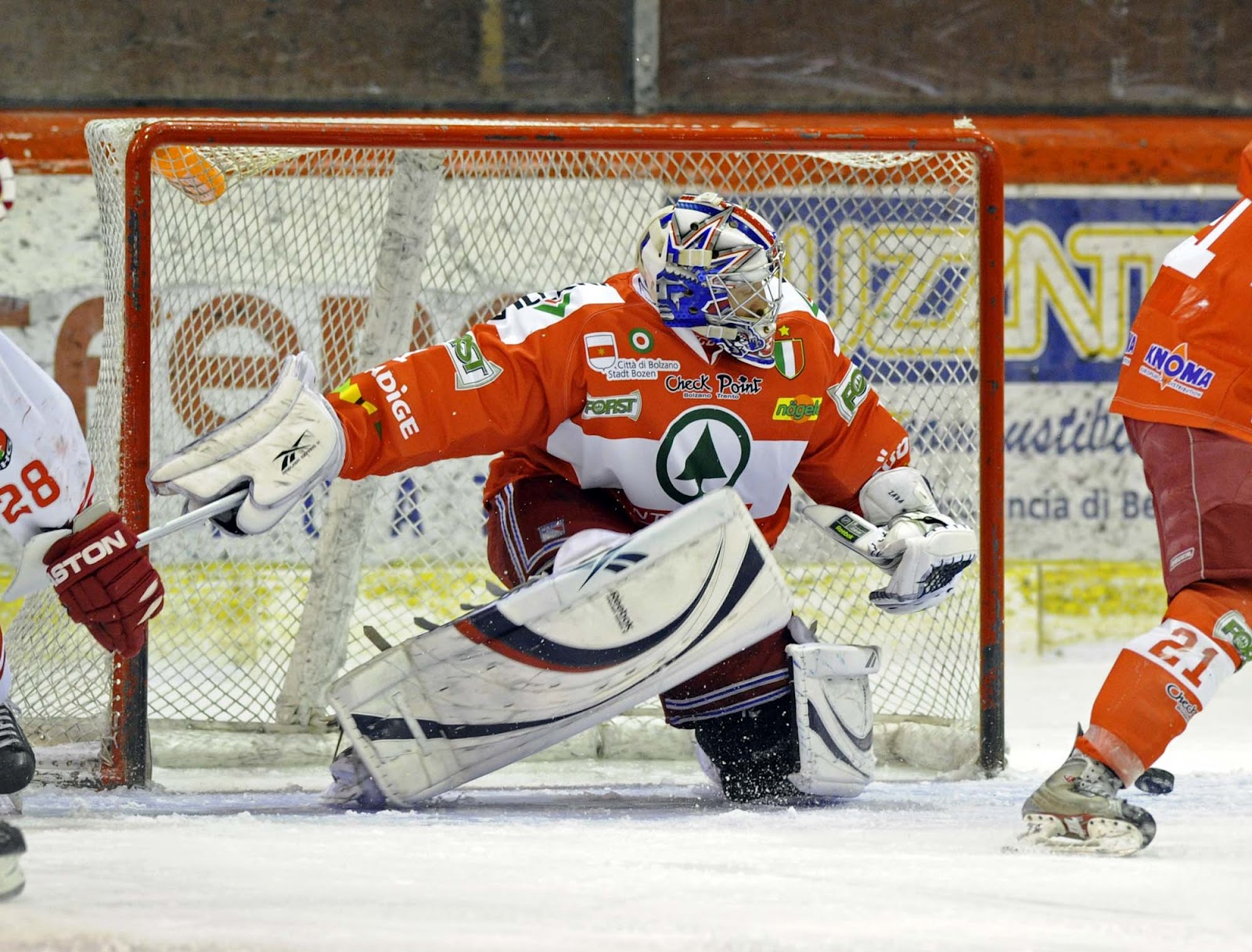 vipersdiehardfan blog: Capitals Aquire Former Vernon Viper Goaltender ...