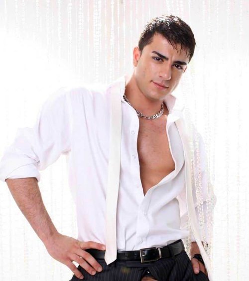 Sunday's Star (XVIV): Harry Louis ~ Hunklopedia