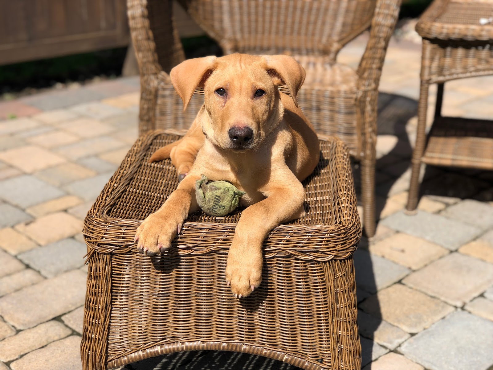 Rochester MN O'Hara Family Blog: May 2018