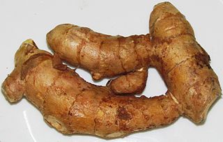 Resep Masakan: Kandungan Dan Manfaat Temulawak