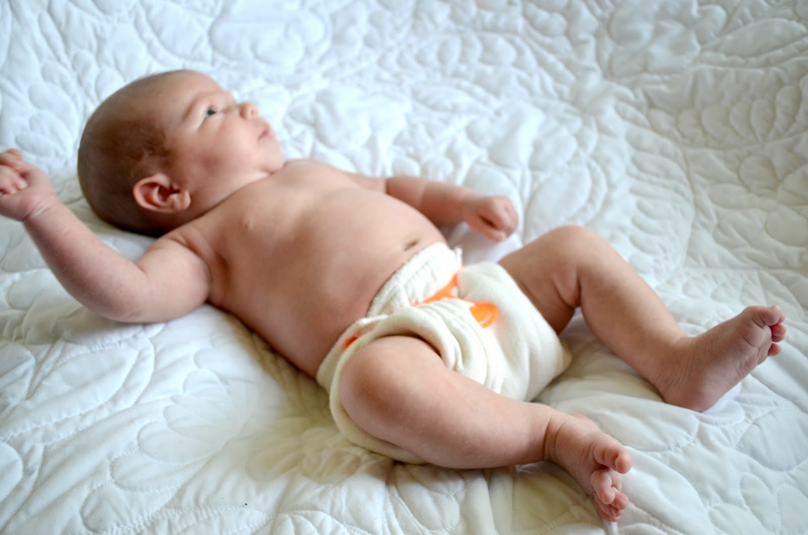 Picklefroggies: Newborn Cloth Diaper Review