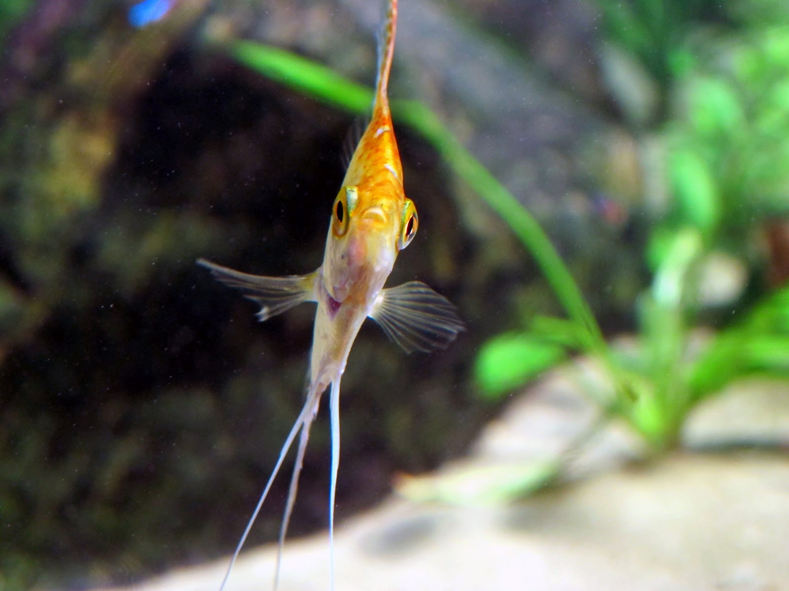 KEW GARDENS - Emma Louise Layla • Fashion, Beauty, Travel & Lifestyle Blog