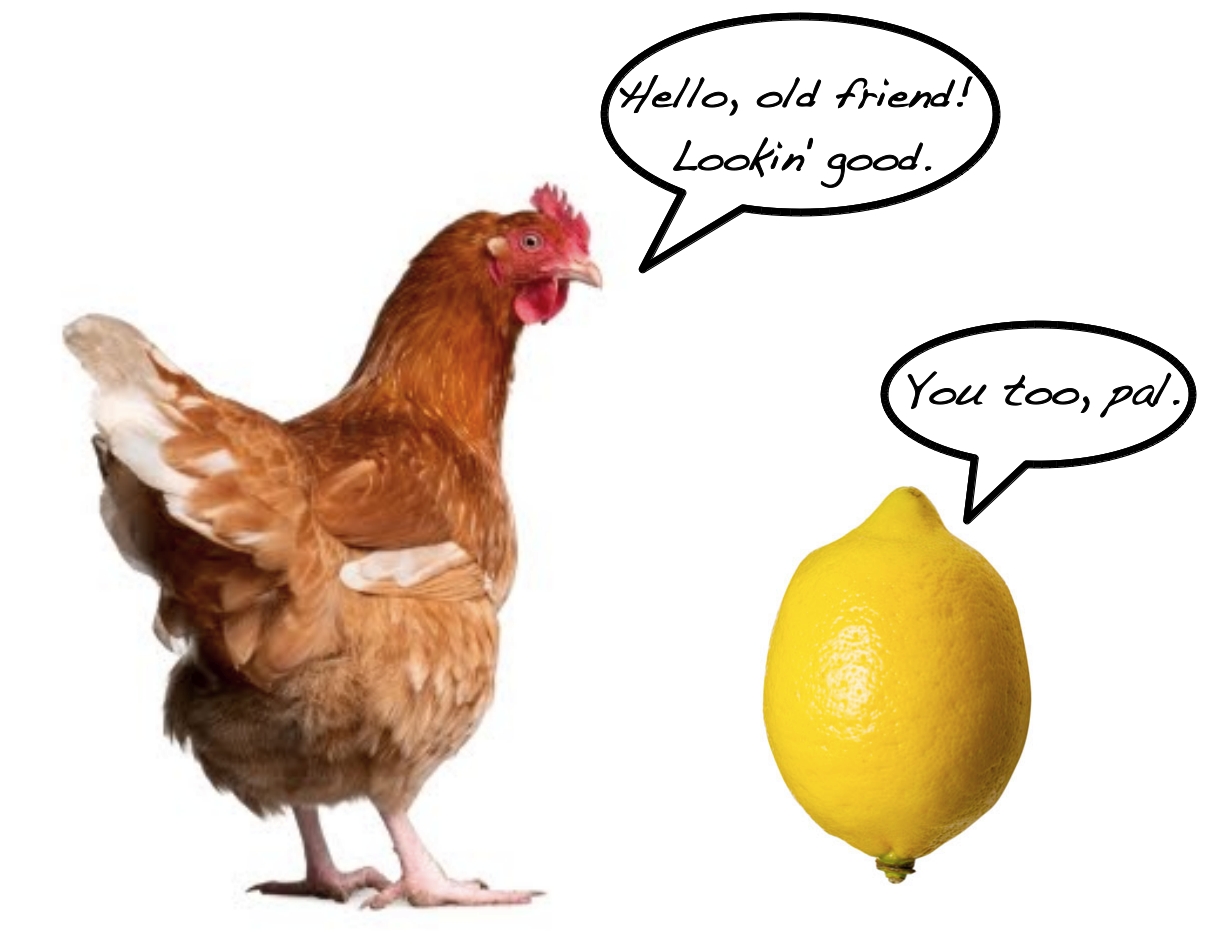 Wild Honey: my momma's chicken