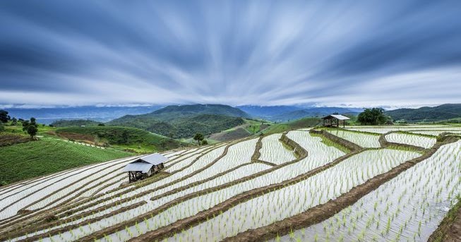 Mencontoh 9 Sistem Pertanian Terasering Terbaik di Dunia - Blog Seputar ...