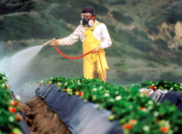 Pestisida - Pengertian, Formulasi dan Jenis-Jenisnya - KelasAksel