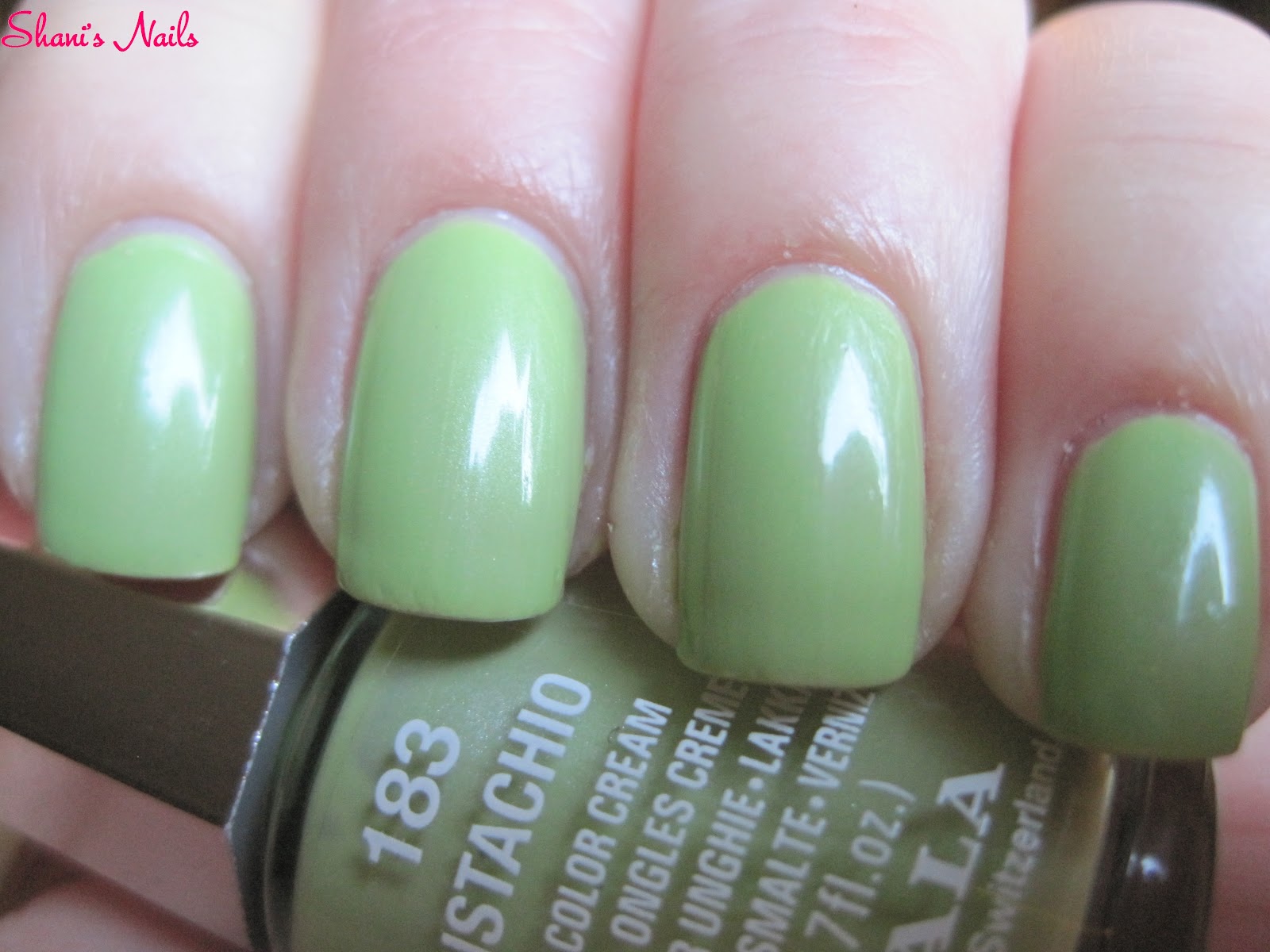 Shani's Nails: Vert glacé / Mavala Pistachio