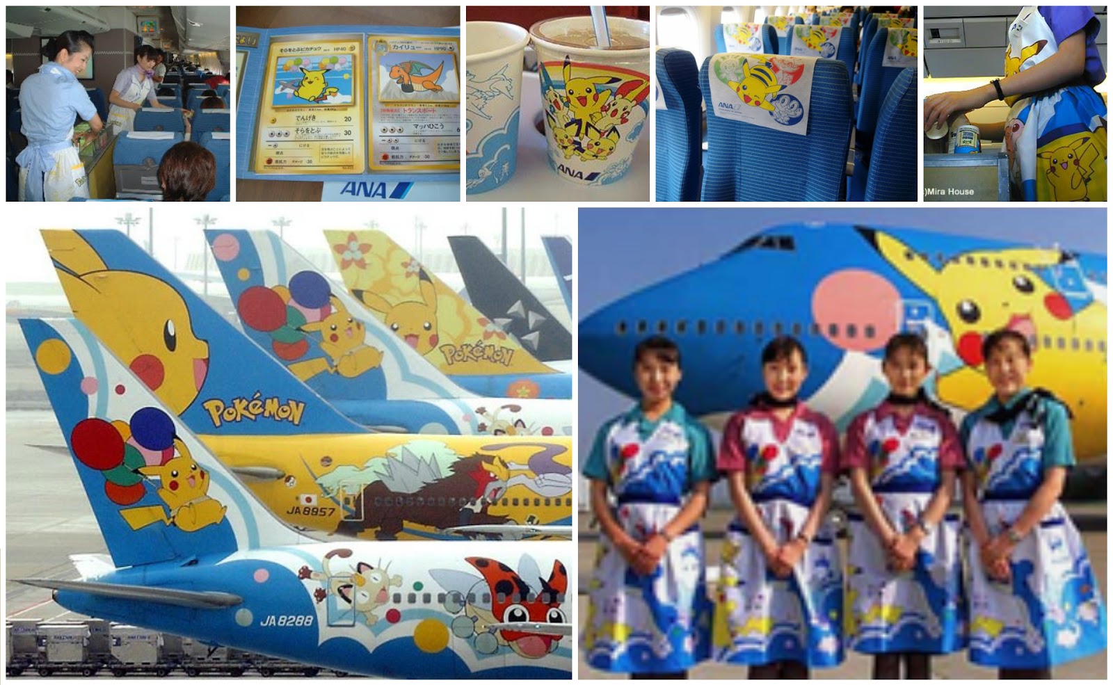 Culture Fairies: Pokemon Jet!