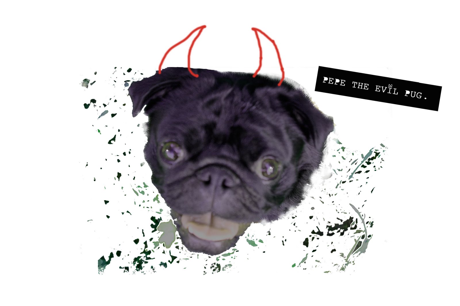 Melissa Price: Pepe The Evil Pug
