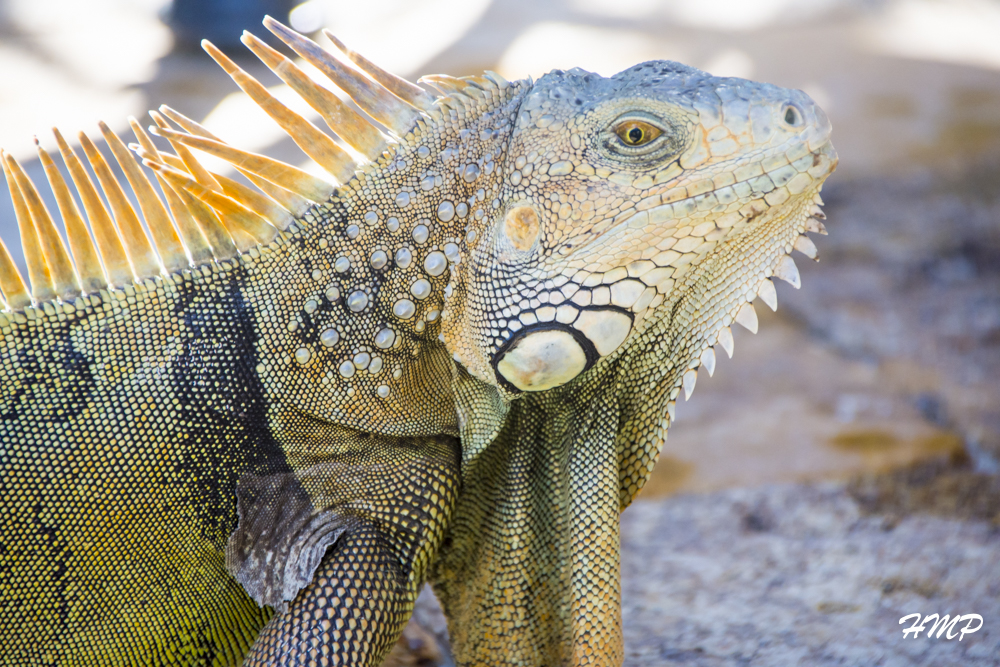 Through POWERSful Lenses