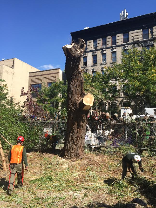 EV Grieve: So long Cher, the willow tree of La Plaza Cultural