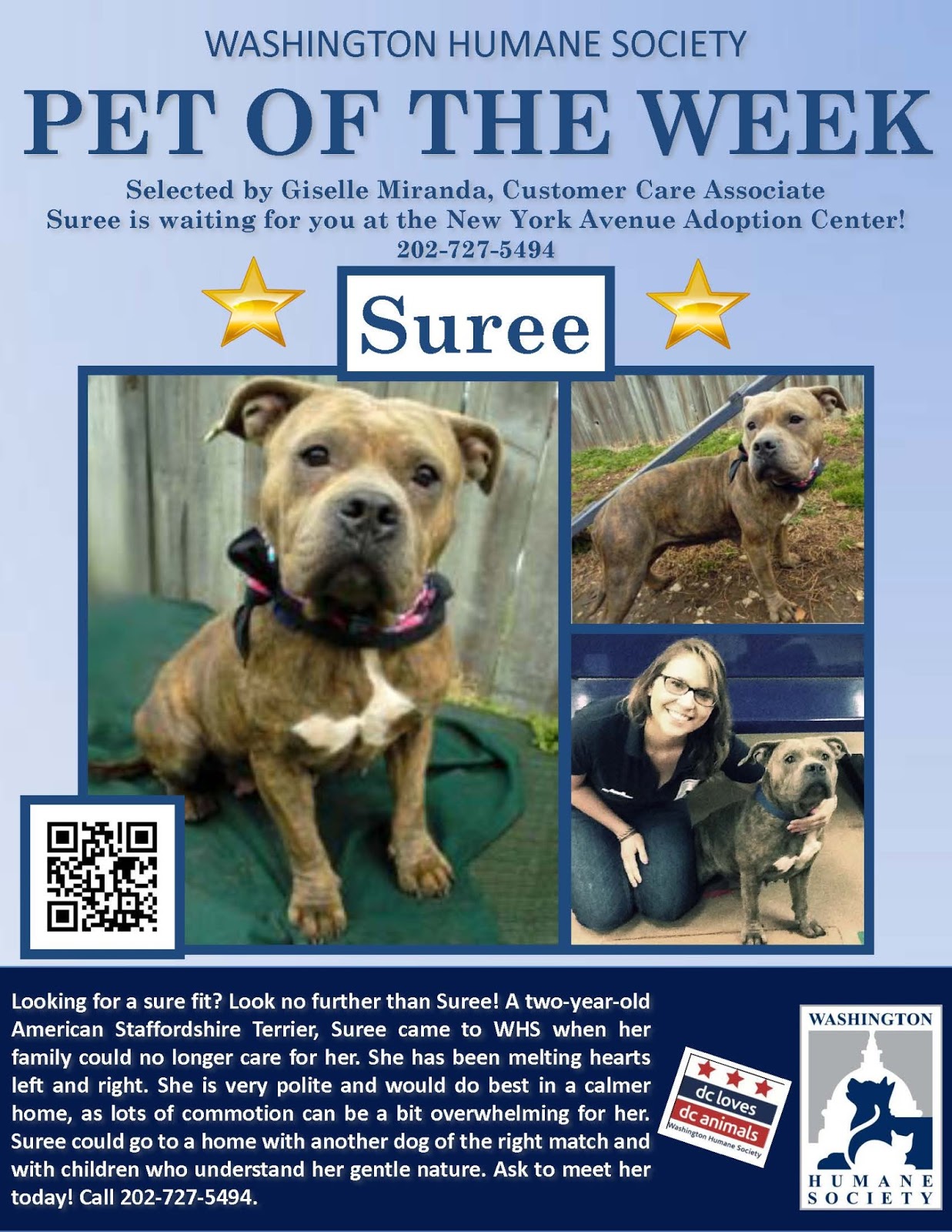 Friday's Friend - Washington Humane Society | from the Dog's Paw- A ...