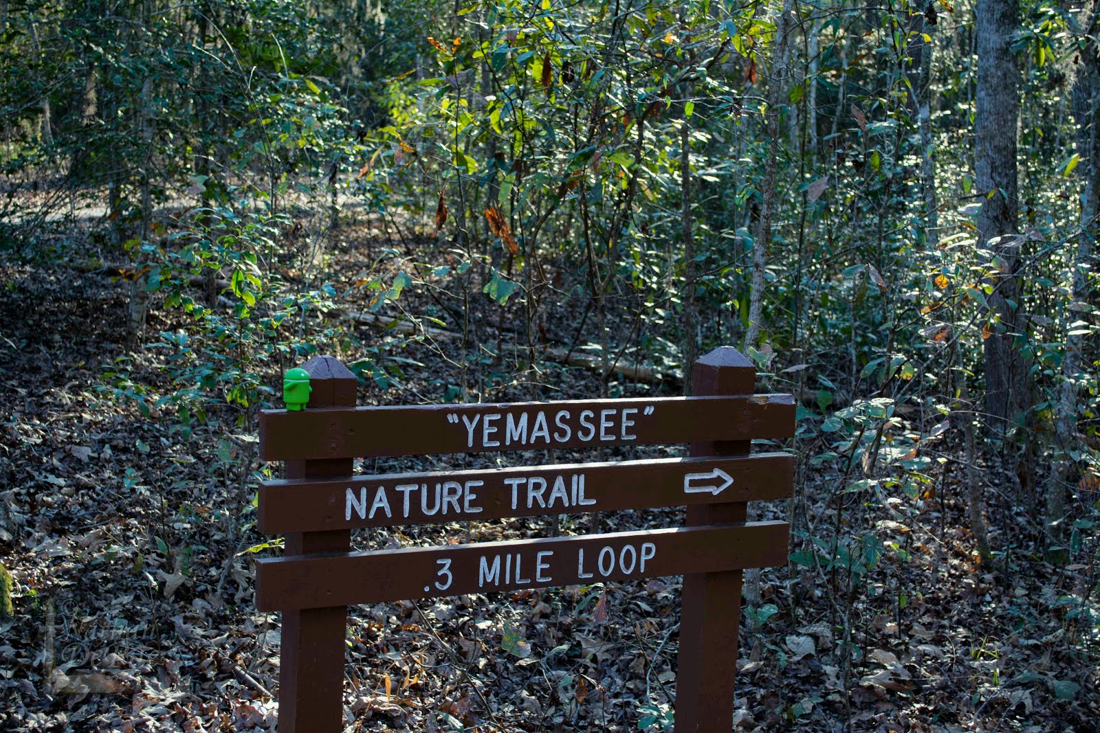 Tech and Nature: Lake Warren State Park